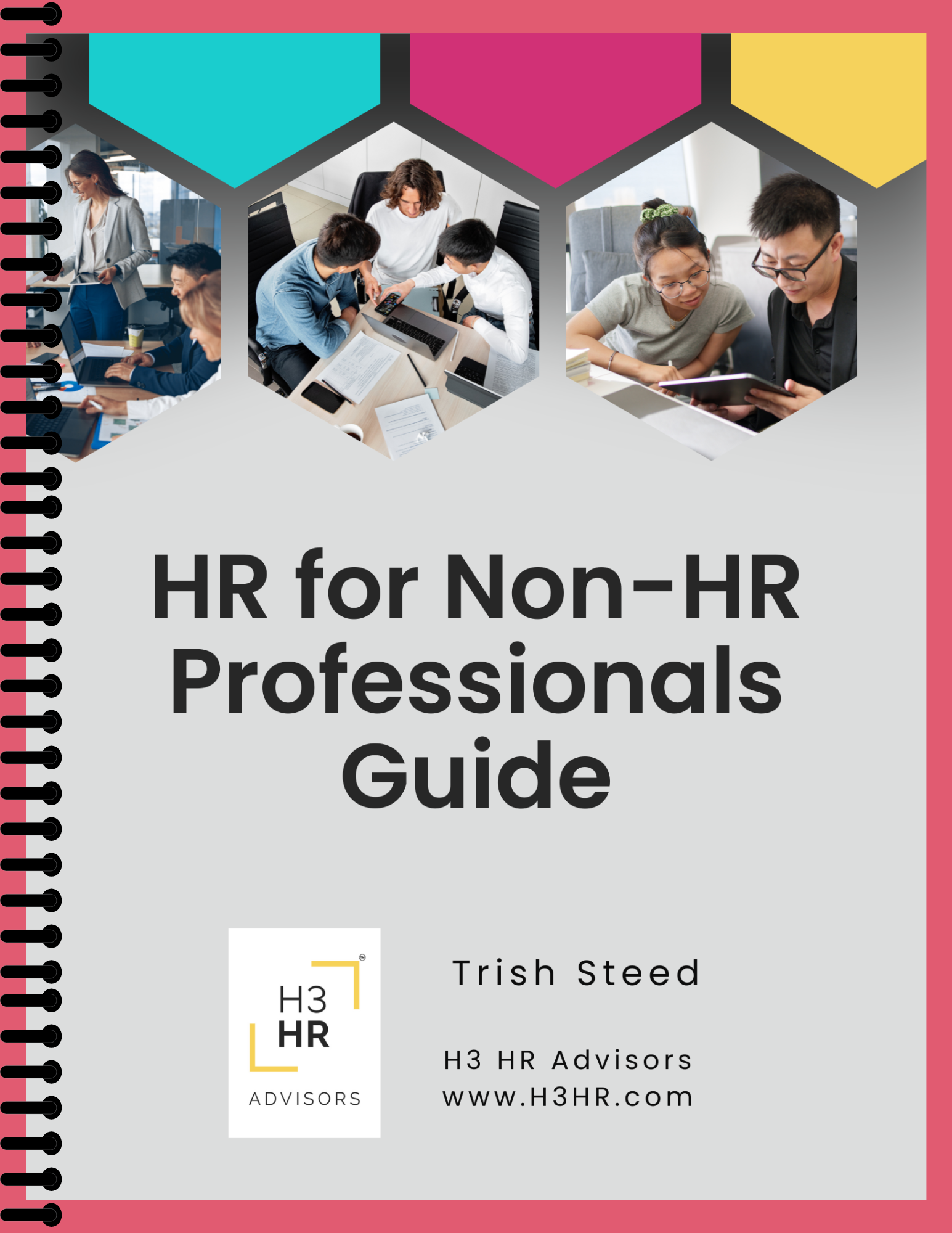 HR for Non-HR Professionals Guide - H3 HR Advisors